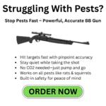 BB Gun Laws By State: What You Need To Know (2025 Guide)